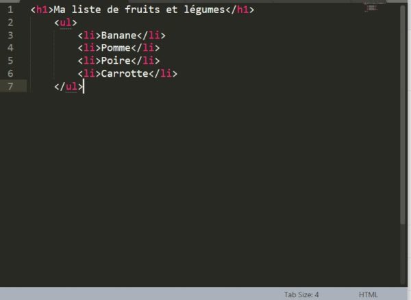 HTML - les listes - Comment Devenir Développeur